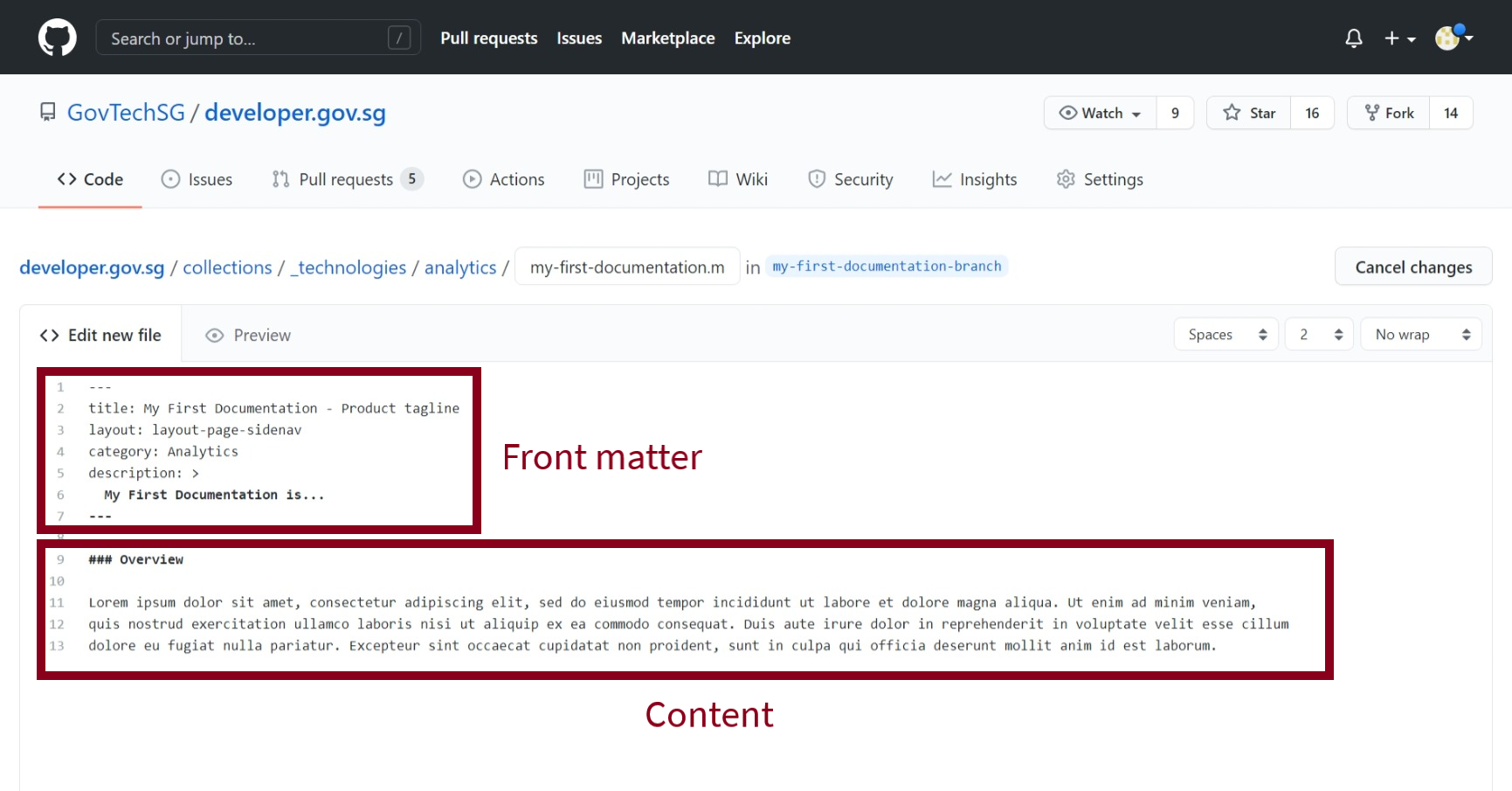 Developer Portal Content Publishing Guide
