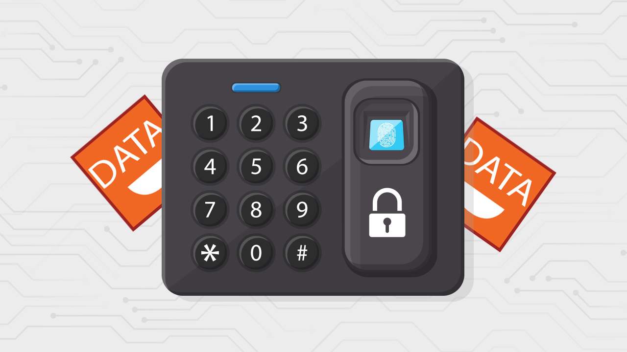 Lesson 6 - Protect or Perish?